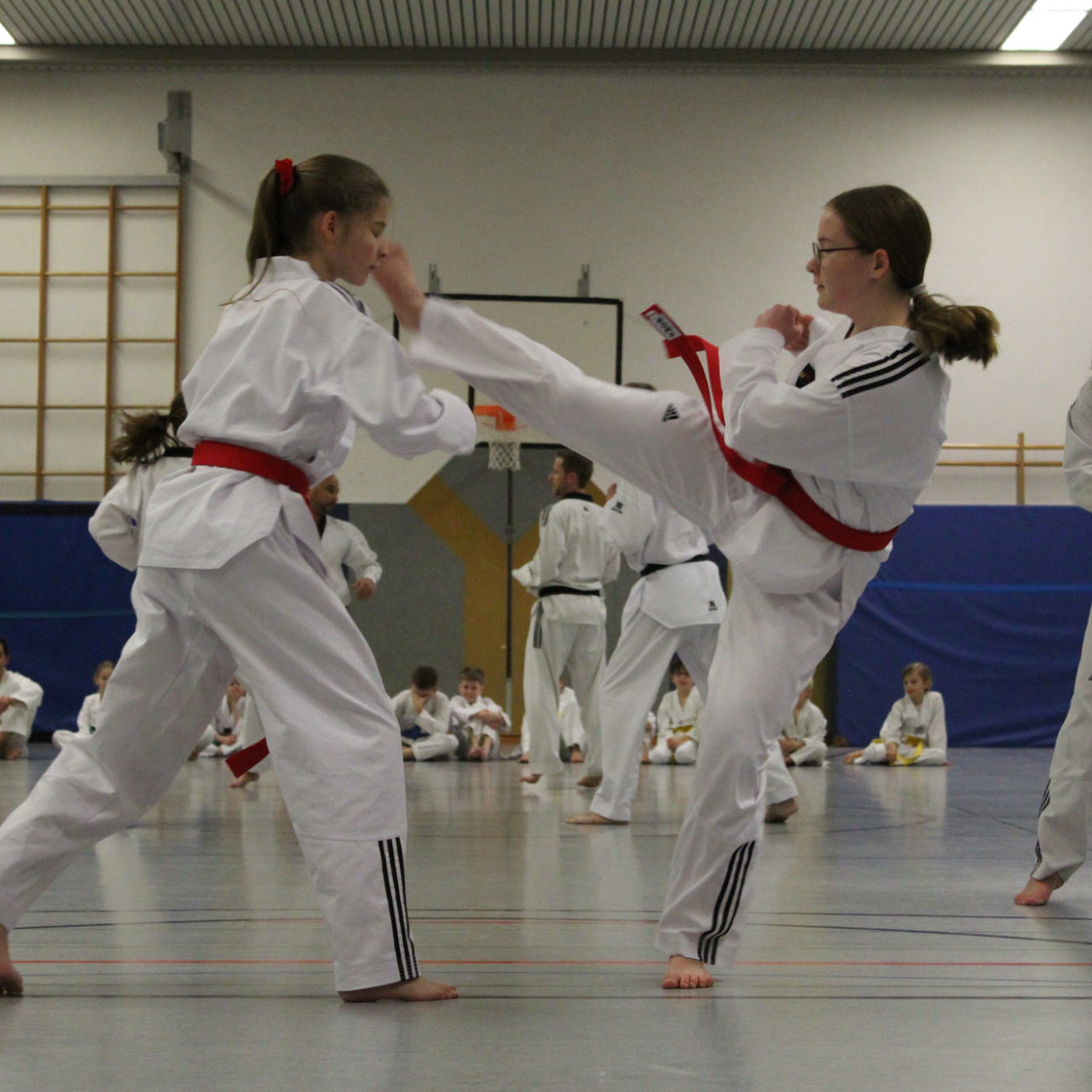 Taekwondo - Turngemeinde Herford 1860 e.V.